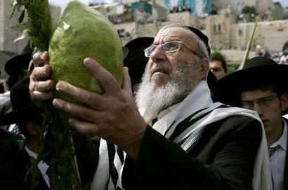 Complete Esrog And Lulav Set. plus all your Sukkos 2018 needs – Esrog Depot