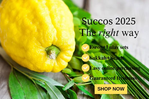 Complete Esrog And Lulav Set. plus all your Sukkos 2018 needs – Esrog Depot